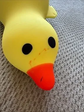 Other | Viral Squishy Duck | Poshmark